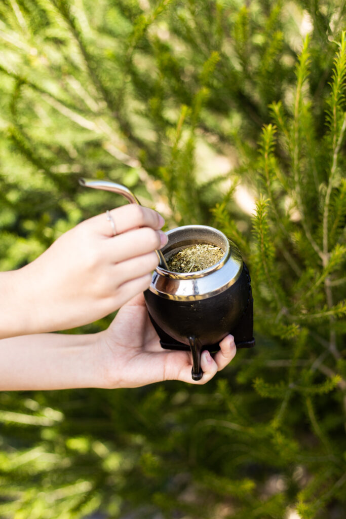 Why is Mate so important in Argentina? - Pampa's Way